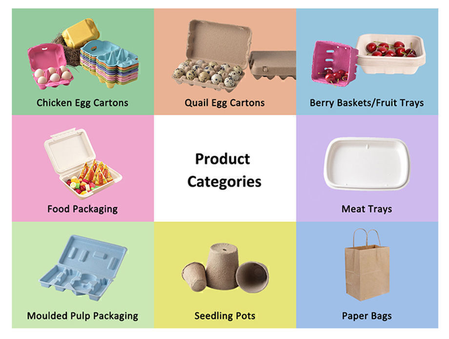 Buy Wholesale China Pulp Packaging Tray Customized Biodegradable Eco ...