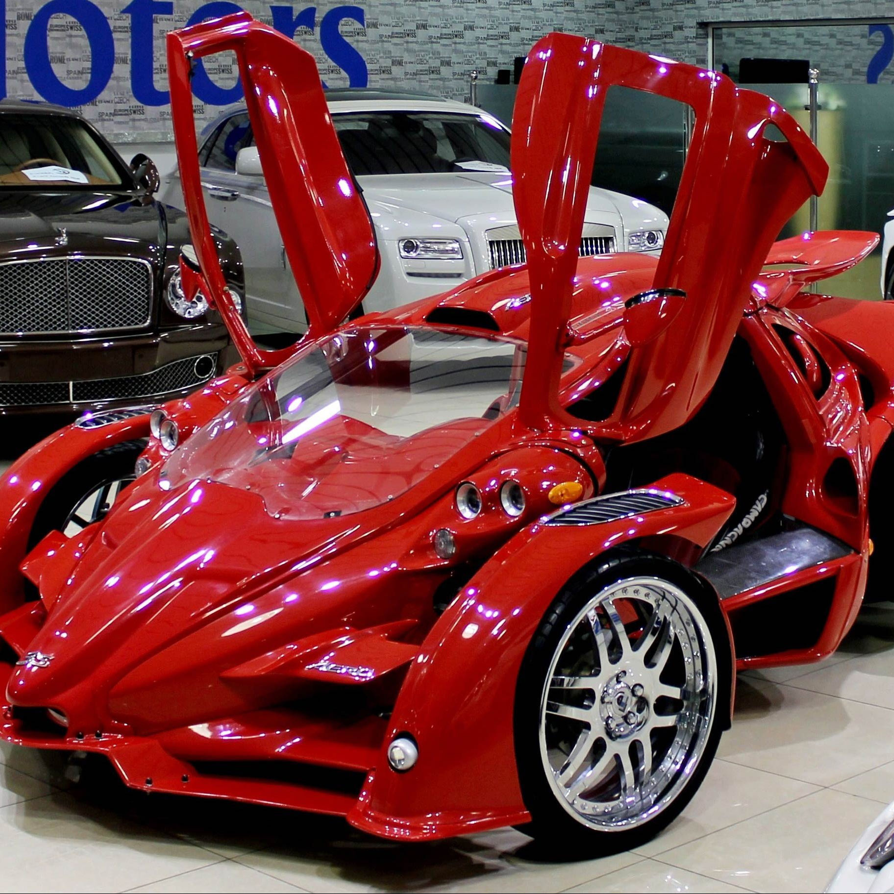 Buy Wholesale Canada Buy Now Aero 3s T-rex Rr -2021 Campagna Motors T ...