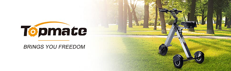 Topmate Es31 Foldable Electric Scooter Mini Tricycle, Electric Mobility ...