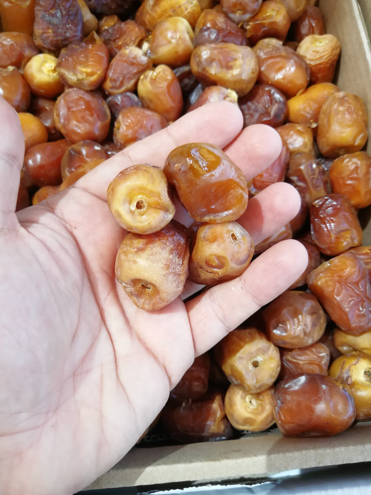 Buy Wholesale Saudi Arabia Sukkari Dates Best Price Fresh Harvest From ...