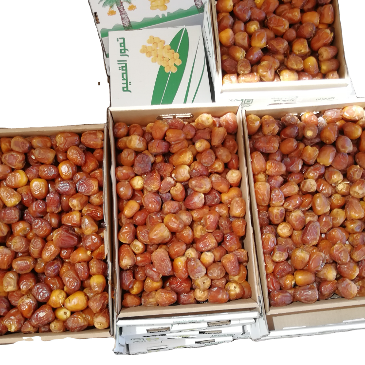 Buy Wholesale Saudi Arabia Sukkari Dates Best Price Fresh Harvest From ...