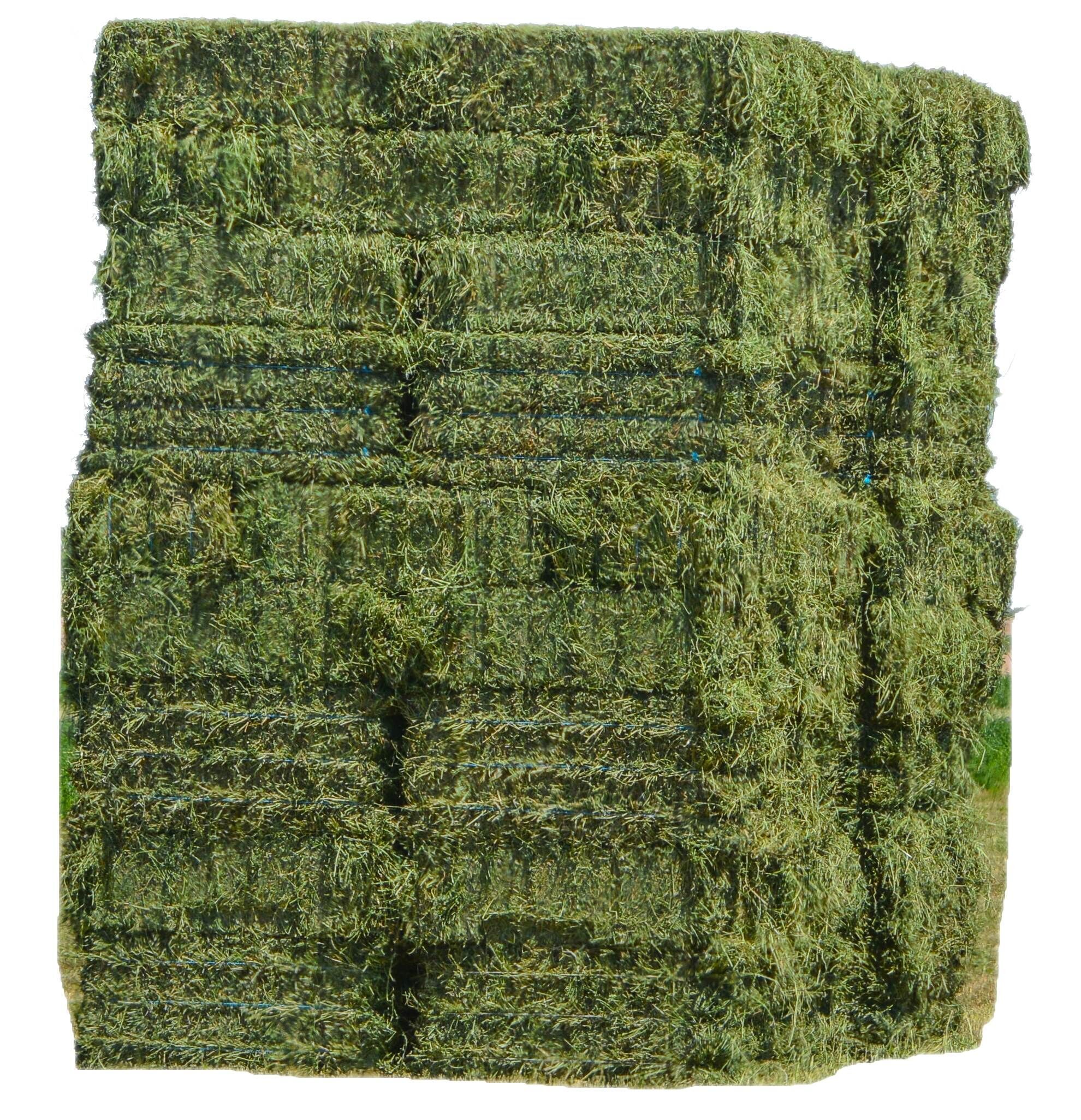 Buy Wholesale United States Hay At Very Cheap Price / Quality Rhodes ...