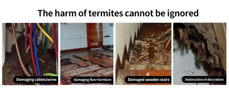 Buy Wholesale China Professional Portable Pest Control Plastic Indoor ...