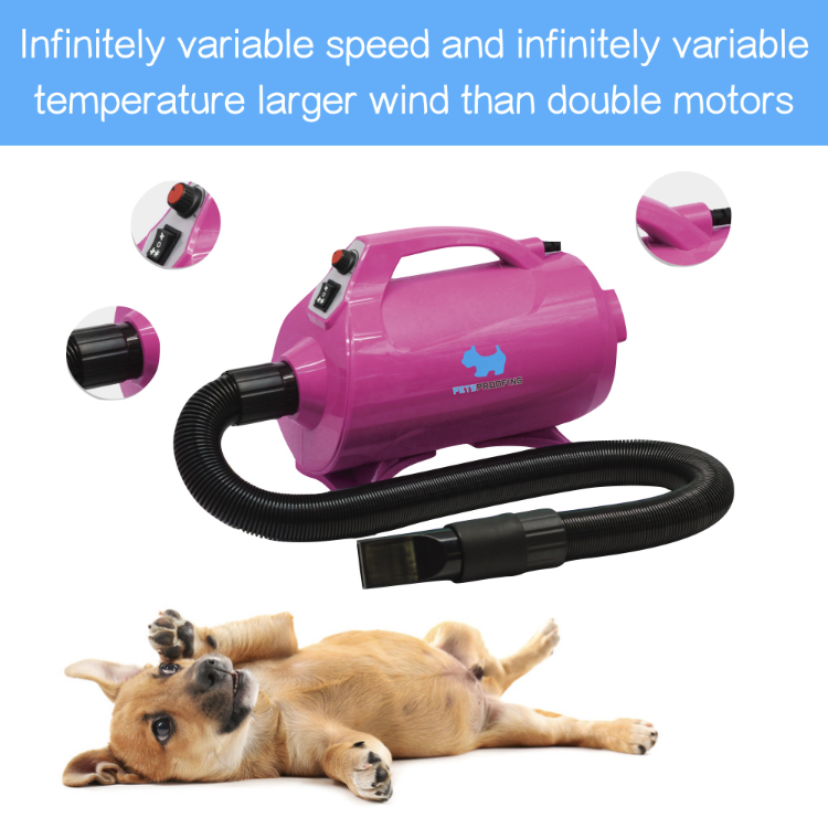 Petsproofing Pet Dog Dry Water Blower 2600 Watt Professional Dog ...