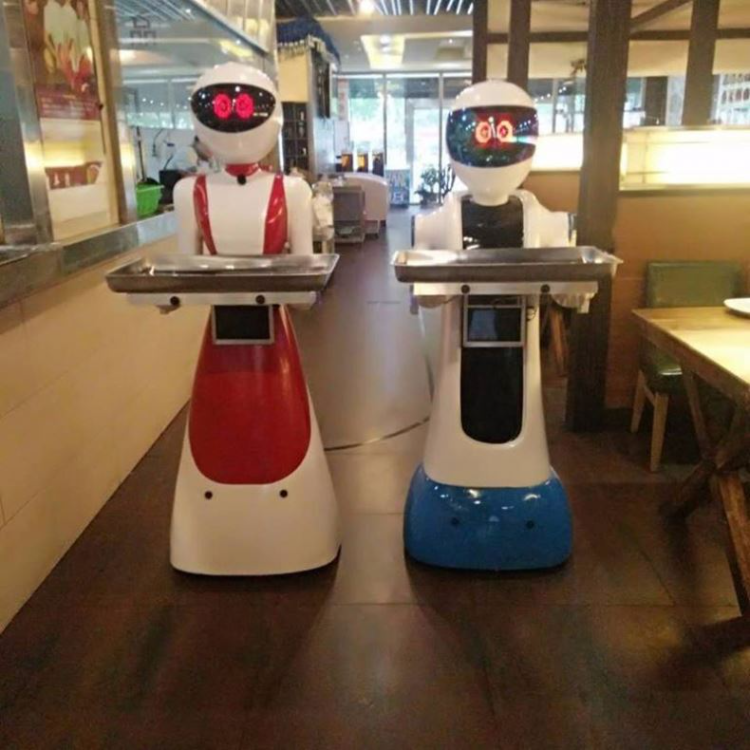 Buy Wholesale China Delivery Robot /robotic Train Food Delivery/pizza ...