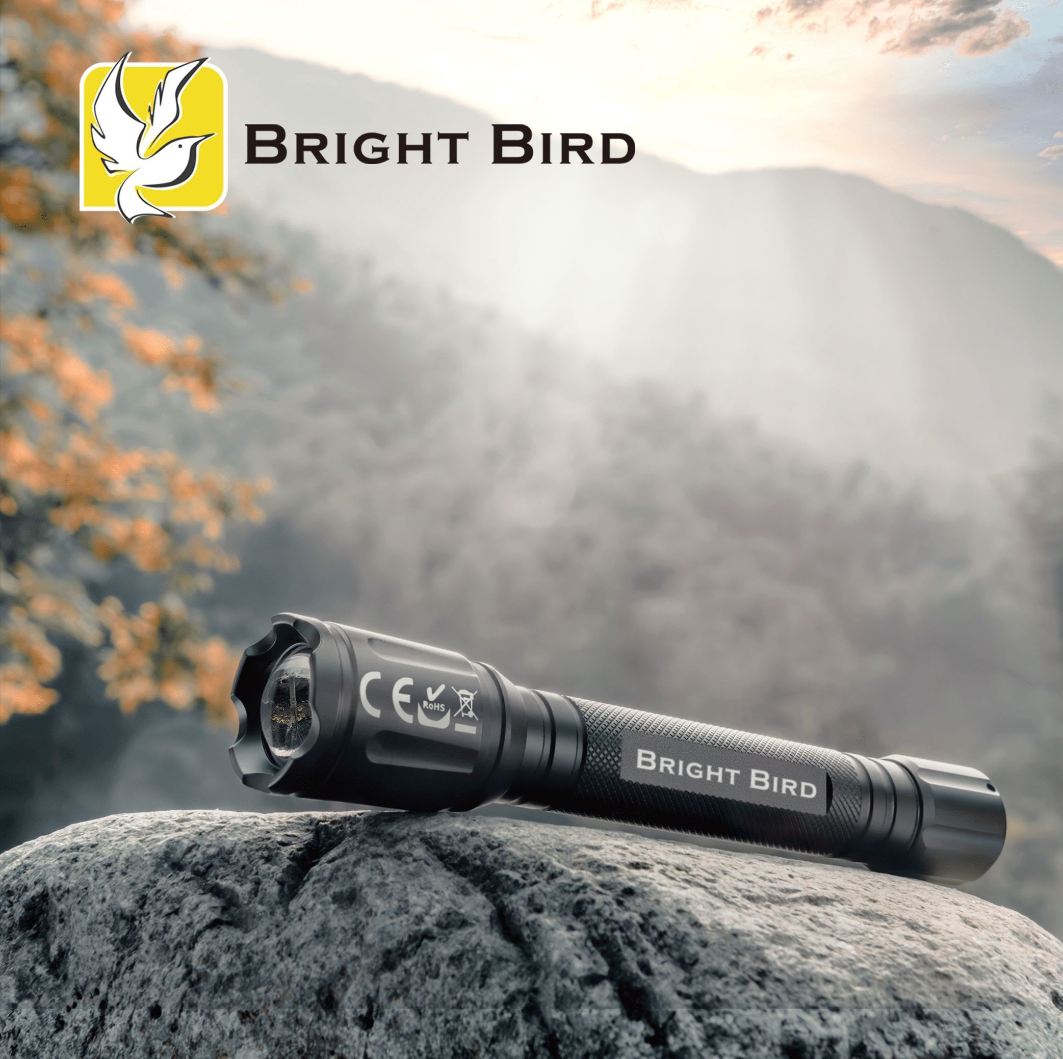 Buy Wholesale China Oem/odm Dry Electric Flashlight 5w Osram Led ...