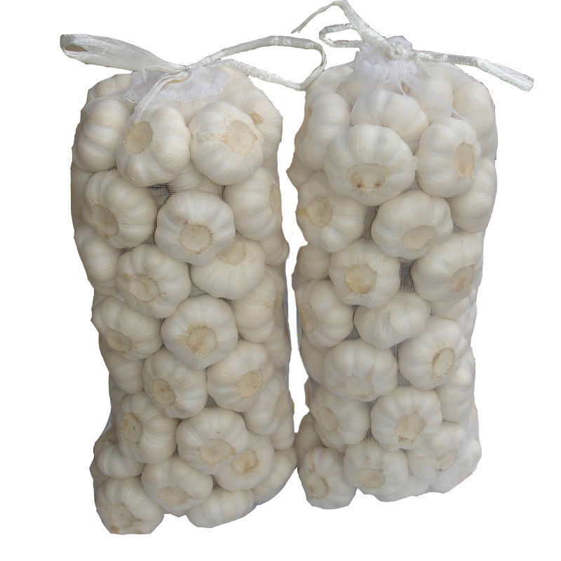 Buy Wholesale United States Low Price Fresh Garlic White Garlic Normal ...