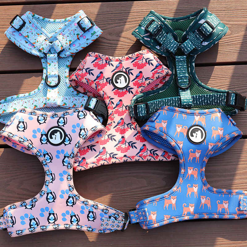 Buy Wholesale China No Pull Custom Dog Cat Harness Set For Pet,cheap ...