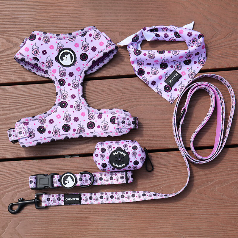 Buy Wholesale China No Pull Custom Dog Cat Harness Set For Pet,cheap ...