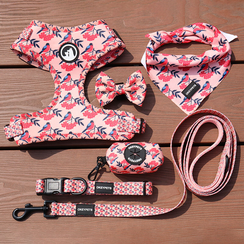 Buy Wholesale China No Pull Custom Dog Cat Harness Set For Pet,cheap ...