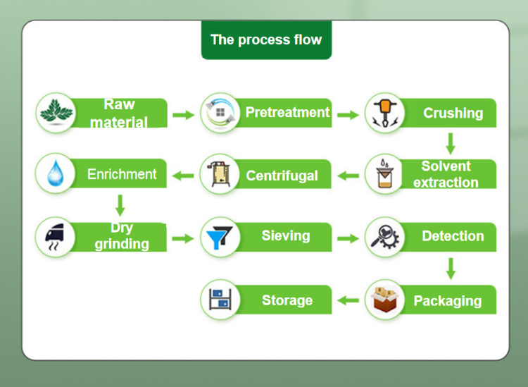 Rice Bran Extract Arabinoxylans Powder Xylan Araboxylan Arabinoxylan ...