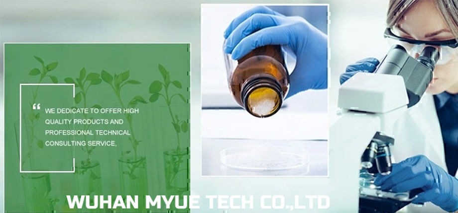 Buy Wholesale China Peptide Buy Hcg 5000iu/box For Bodybuilding ...