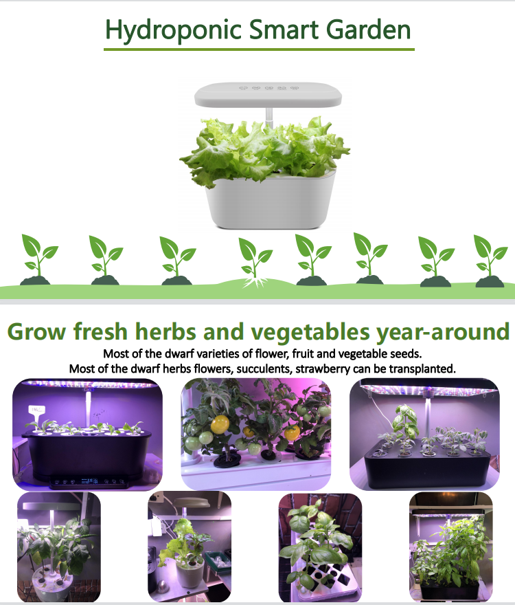 Buy Wholesale China Smart Kitchen Led Garden Planter Germination Automatic With Herb Grow Home ...