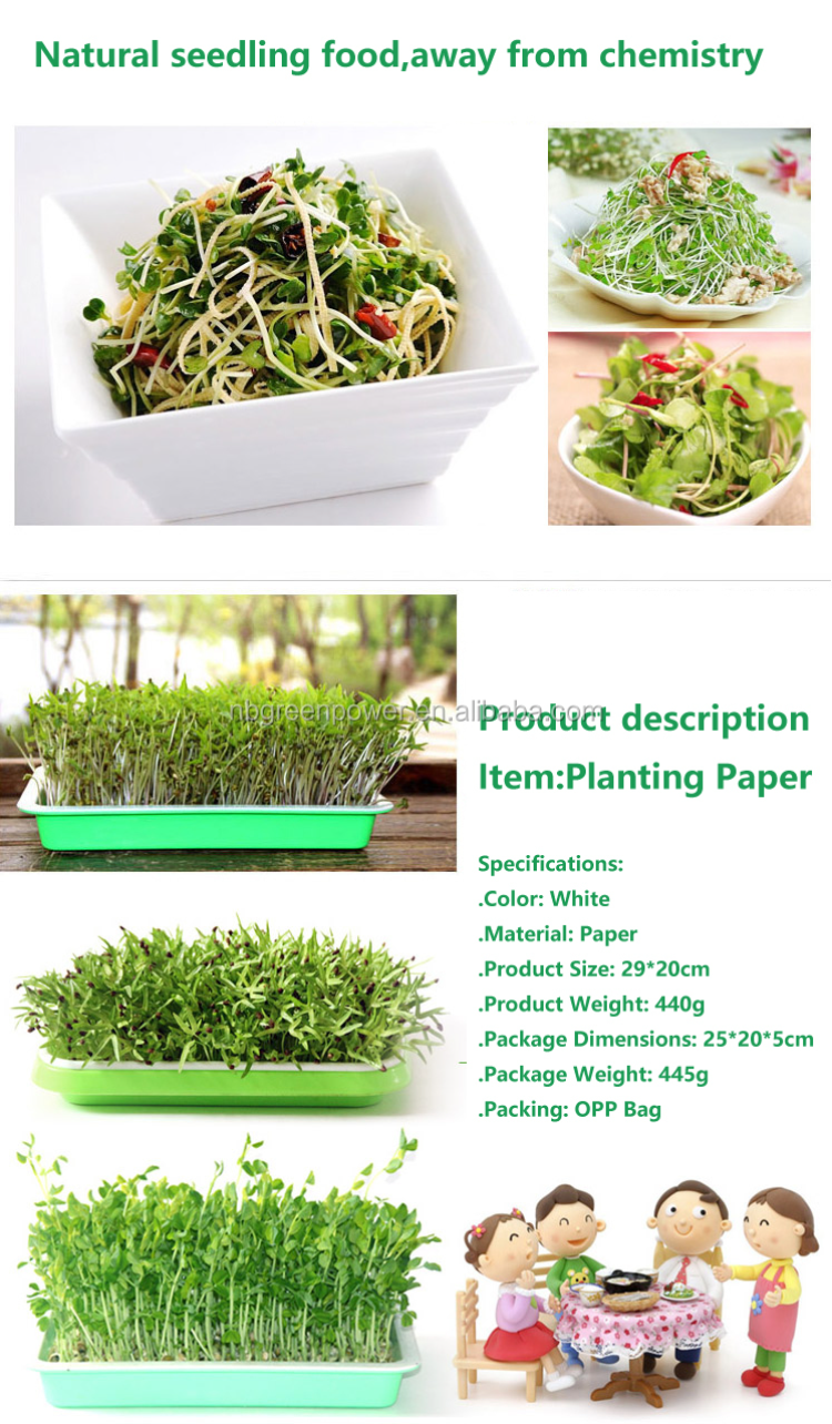 Buy Standard Quality China Wholesale Vegetable Planting Paper Seed ...