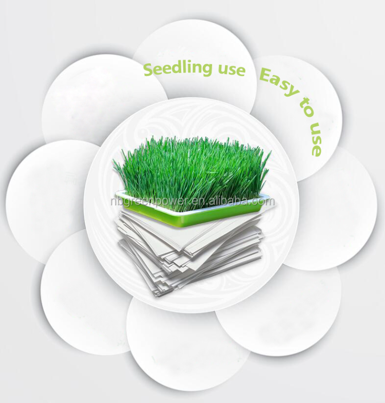 Buy Standard Quality China Wholesale Vegetable Planting Paper Seed ...