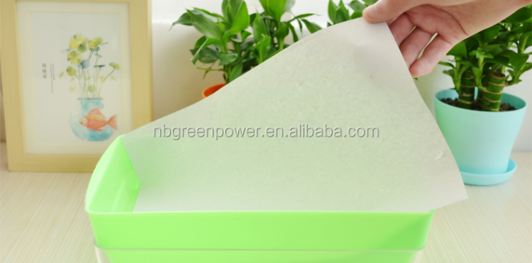 Buy Standard Quality China Wholesale Vegetable Planting Paper Seed ...