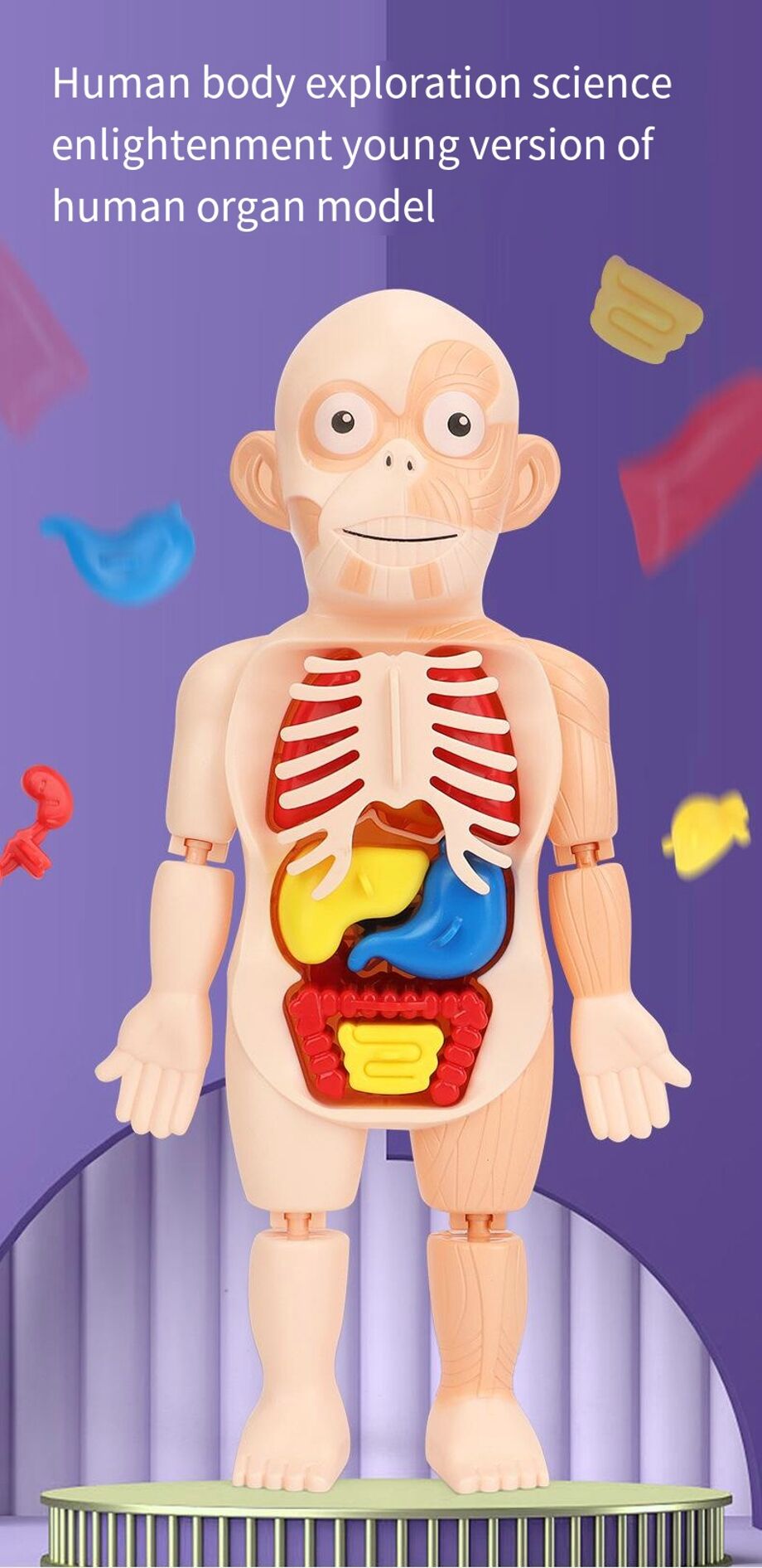 Buy Wholesale China Oem Wholesale Factory Price Educational Science ...