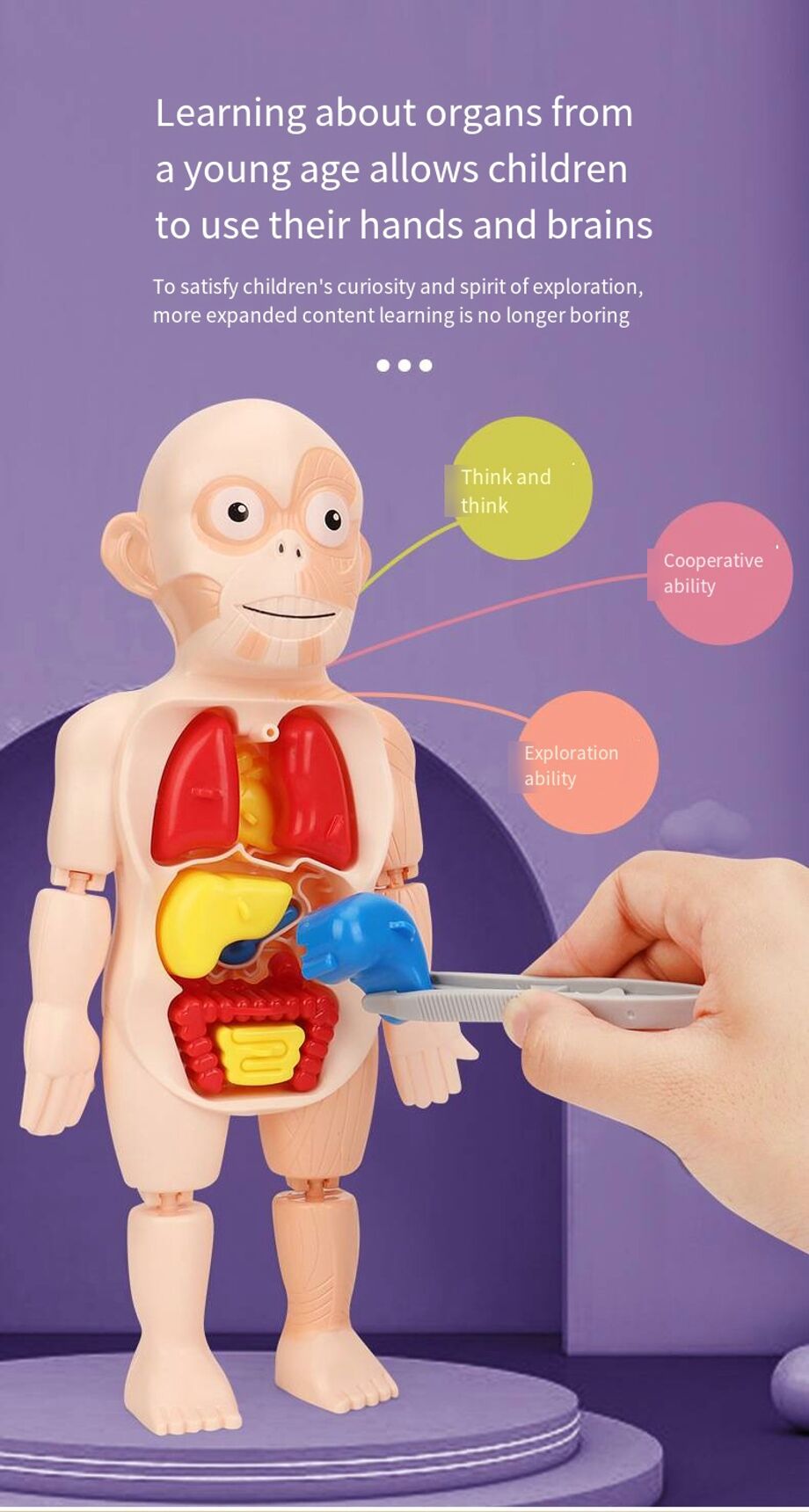 Buy Wholesale China Oem Wholesale Factory Price Educational Science ...