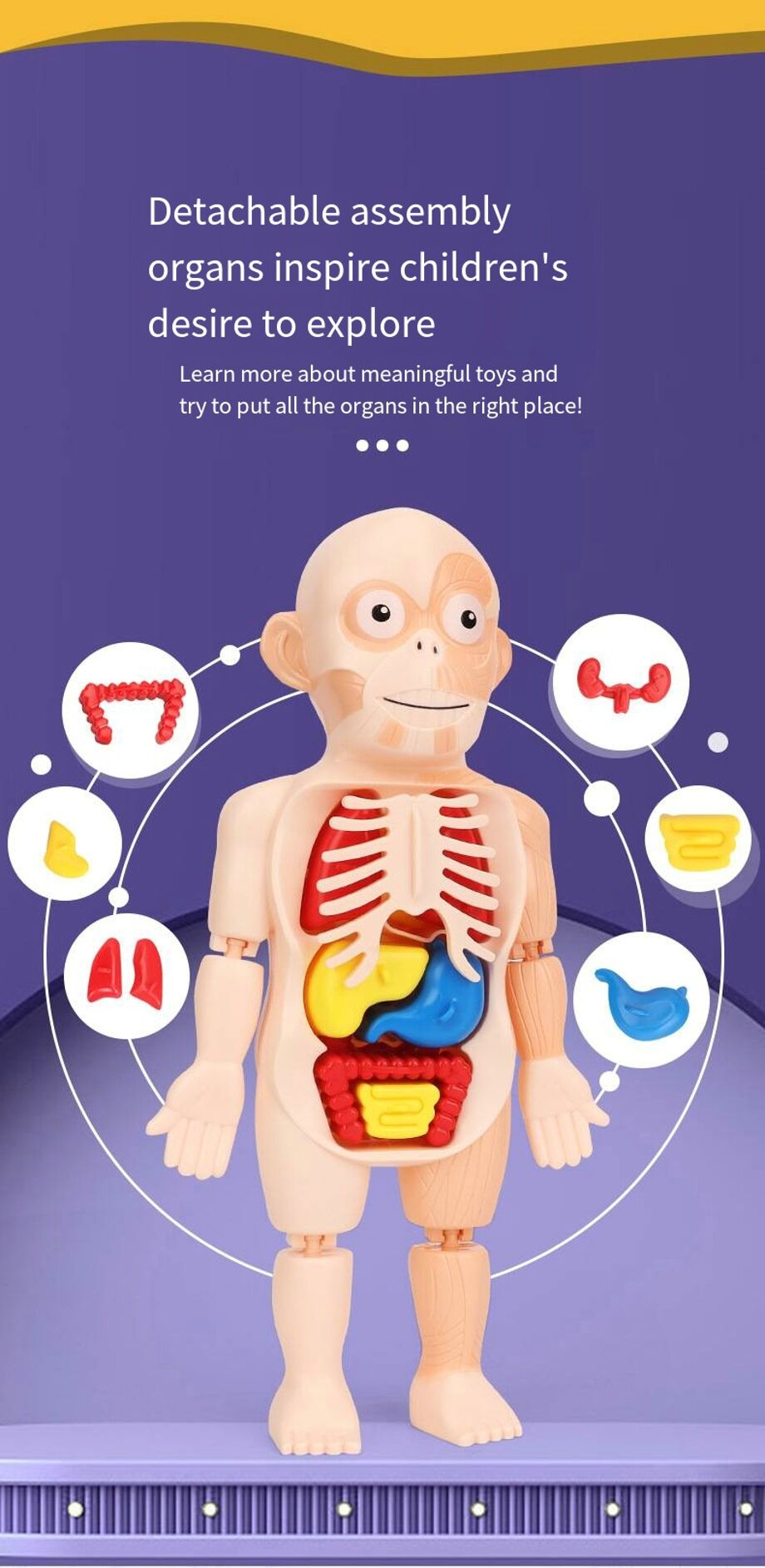 Buy Wholesale China Oem Wholesale Factory Price Educational Science ...