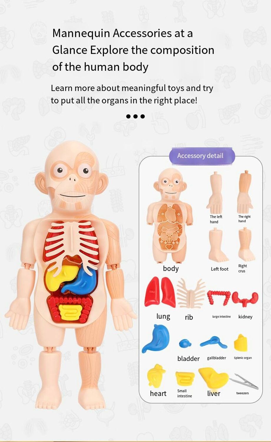 Buy Wholesale China Oem Wholesale Factory Price Educational Science ...