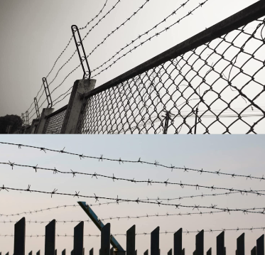 Buy Wholesale China Galvanized Barbed Wire To Brazil Alambre De Pua ...