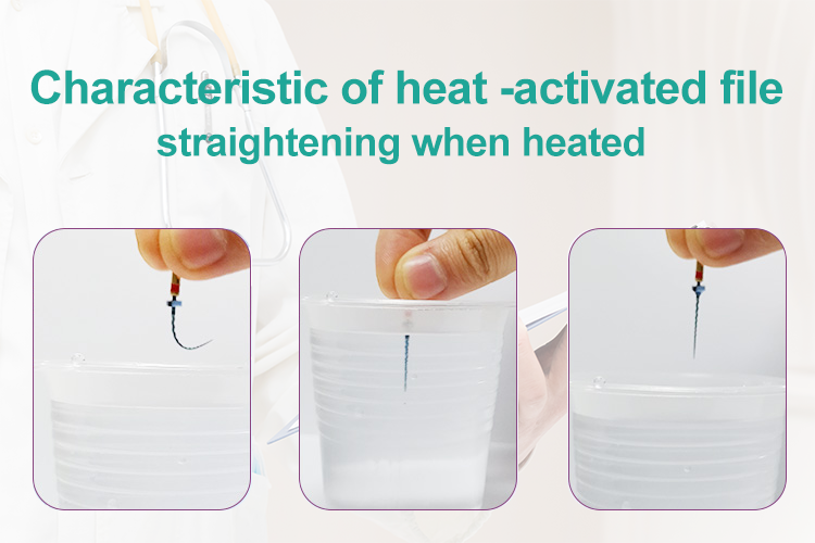 Rotary Files Best Price Excellent Quality Dental Instruments Niti ...