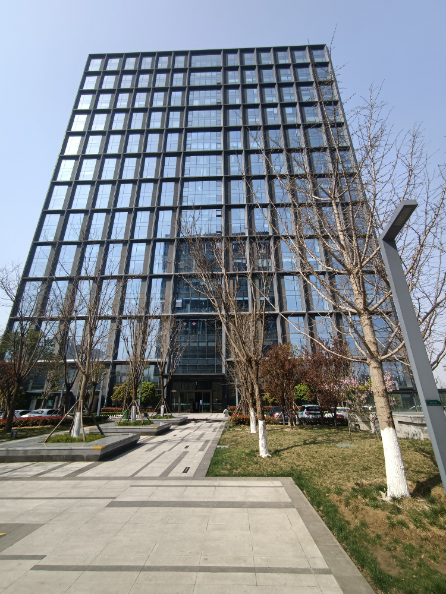 Buy Wholesale China 4 Electrodes Disposable Non-invasive Eeg Sensor ...