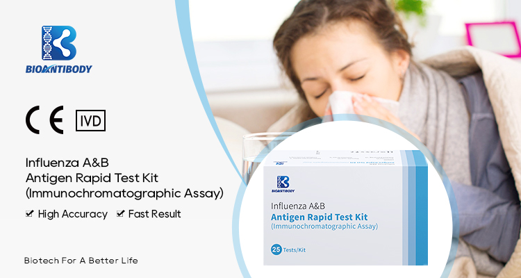 Wholesale Medical Supplies Rapid Test Flu A B Influenza A And B Antigen ...