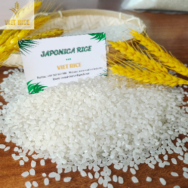 Buy Vietnam Wholesale Competitive Price In Vietnam Wholesale Jasmine ...