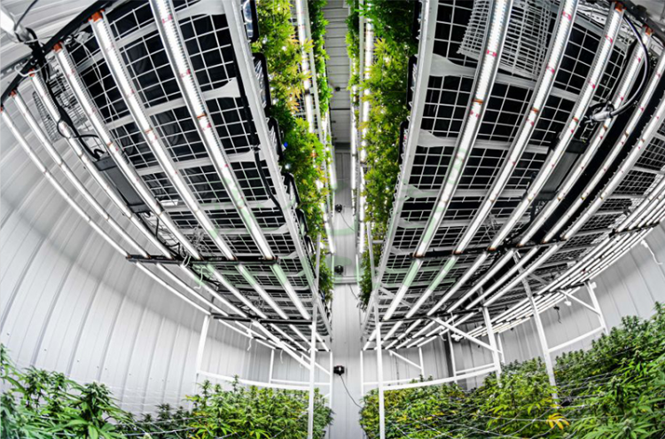 Buy Wholesale China 4*8ft Factory Supply Hydroponic Movable Growing ...