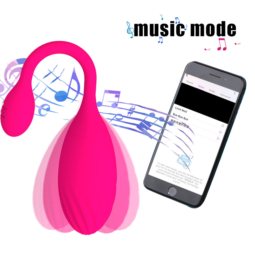 Levett App Wireless Remote Control Vibrator Sex Toy For Women Vaginal Tightening Exercise With 9 ...