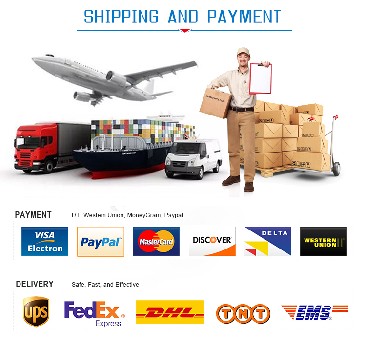 Ciy Gas67 67 Keys Transparent Case Pc Plate Rgb Wired Hotswap ...