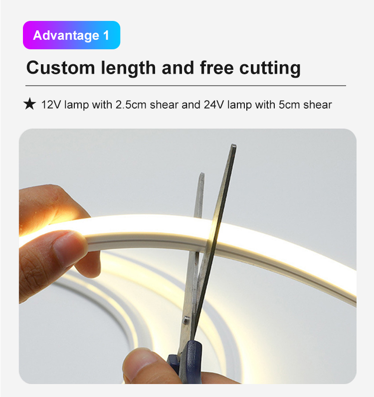 Addressable Rgbic Led Neon Strip Light 12v 06*16mm 5m Neon Ip67 Music ...