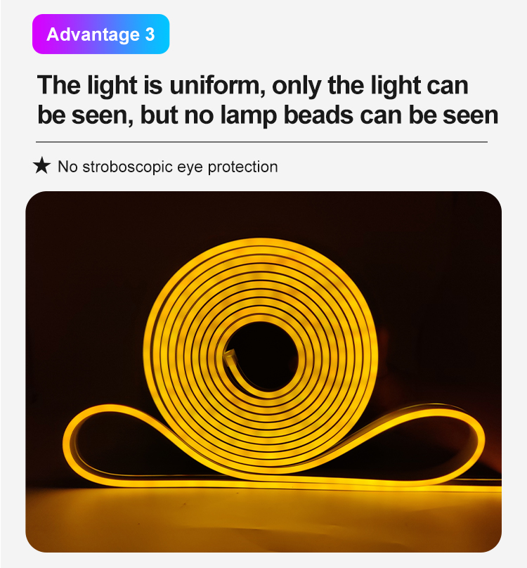 Addressable Rgbic Led Neon Strip Light 12v 06*16mm 5m Neon Ip67 Music ...