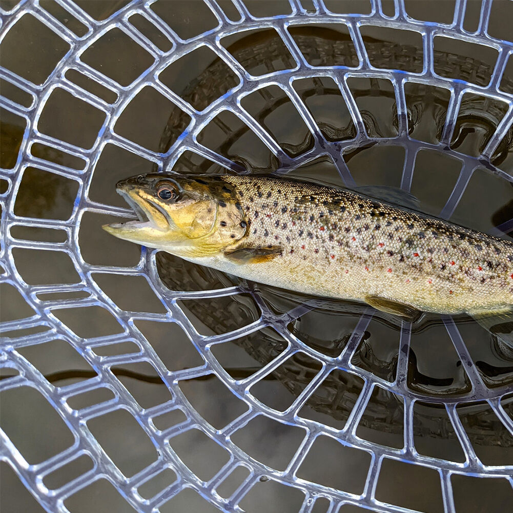 Buy Wholesale China Collapsible Outdoor Fly Clear Rubber Landing ...