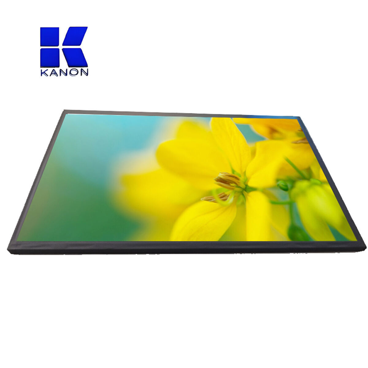 Buy Wholesale China Custom 12.1-inch Ips Industrial Display Module ...