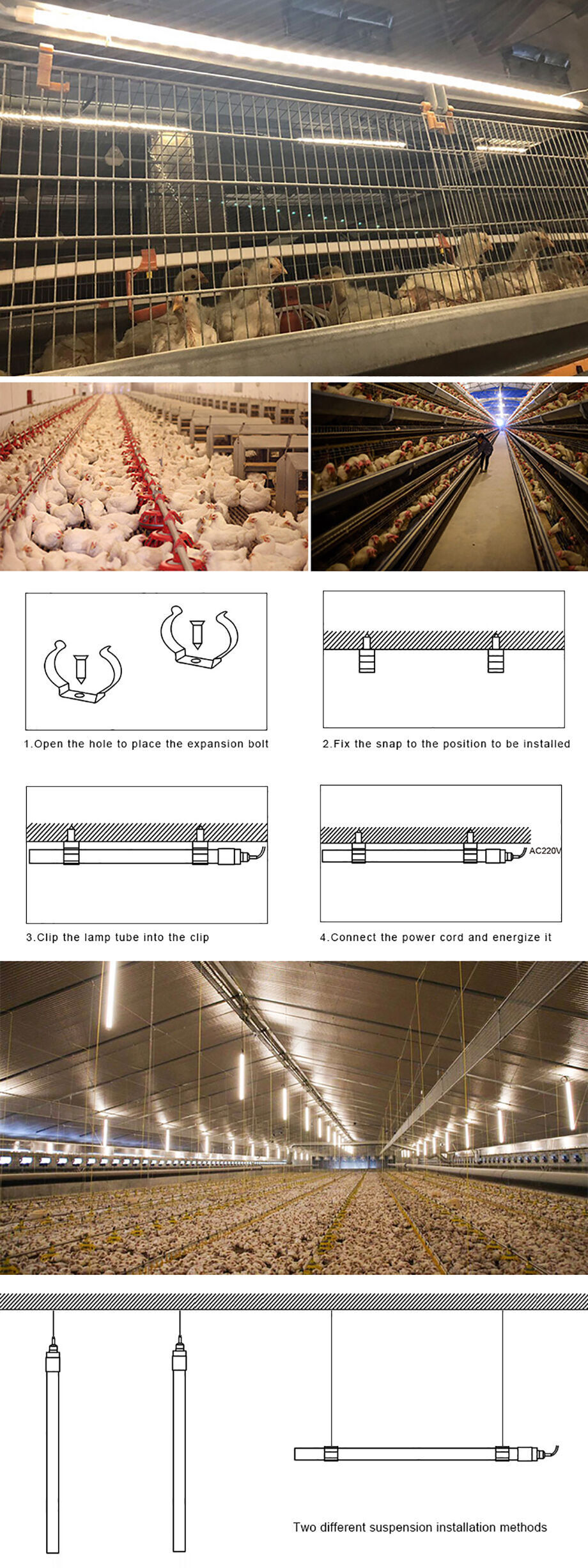 Buy Wholesale China Dimmable Hontech High Quality Led Poultry Light For ...