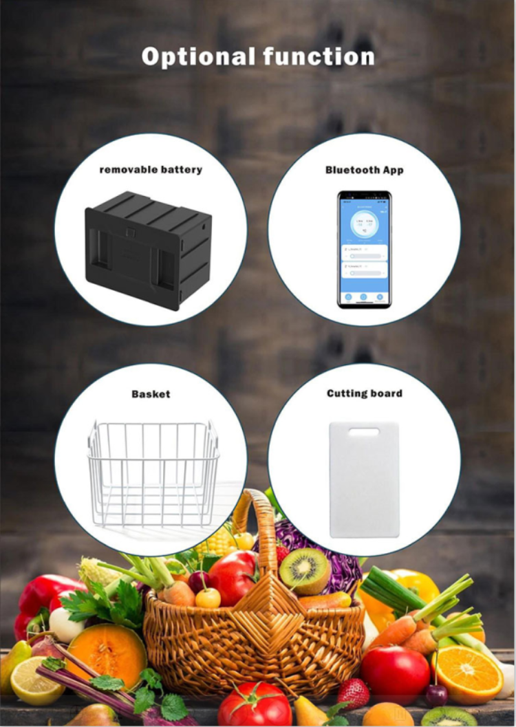 Provide Samples Icebox Phone Connection Customize Camping Car Fridge ...