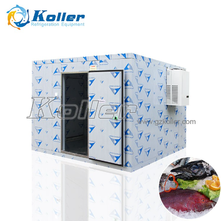 20ft Container Walk In Cold Storage Room Refrigerator Freezer ...