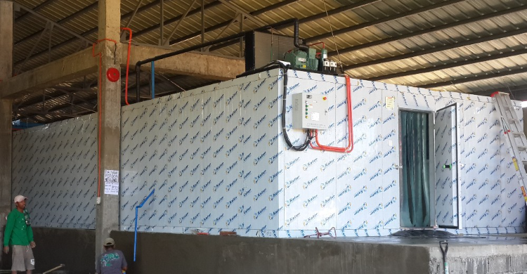 20ft Container Walk In Cold Storage Room Refrigerator Freezer ...