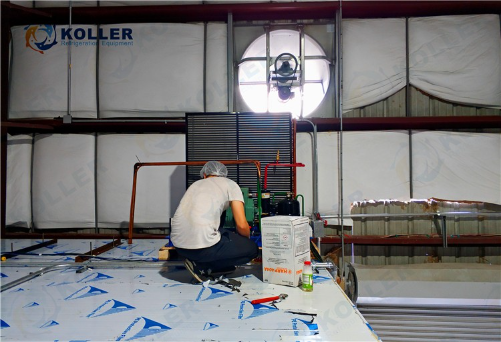 20ft Container Walk In Cold Storage Room Refrigerator Freezer ...