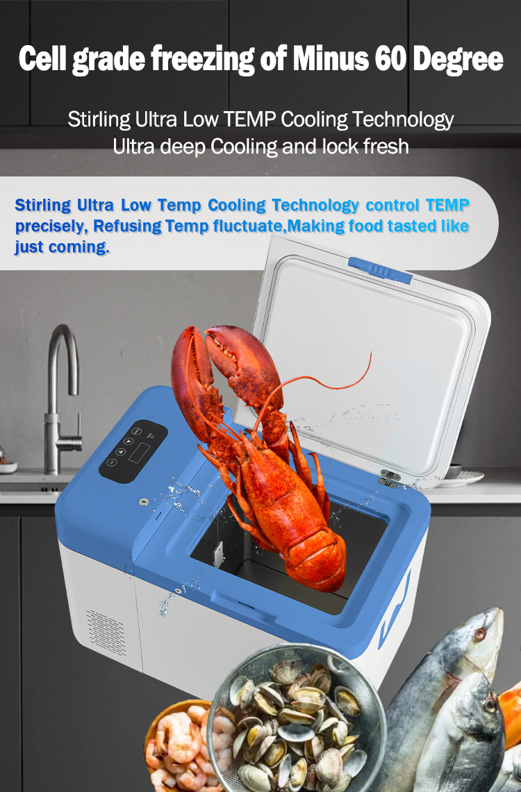 Refport Home Ultra Low Minus 60 Degree Tuna/king Crab/caviar Ultra Low ...