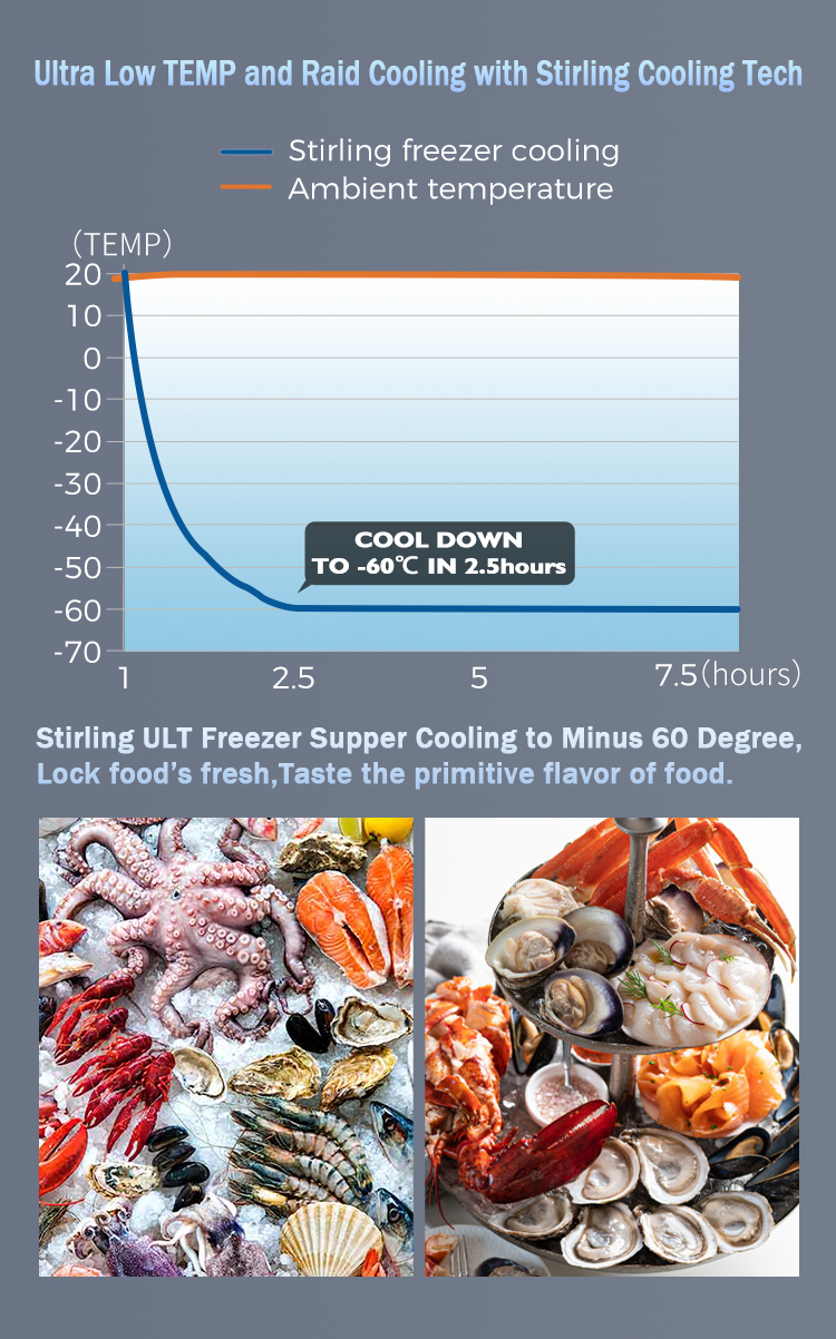 Refport Home Ultra Low Minus 60 Degree Tuna/king Crab/caviar Ultra Low ...