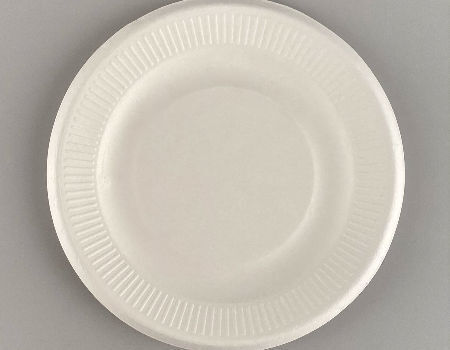 Buy Wholesale China Disposable Bagasse Plate Biodegradable Food ...