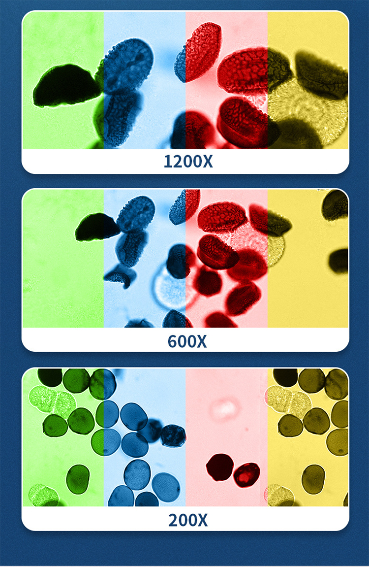 1200x Monocular Biological Microscope Set Science Educational For ...