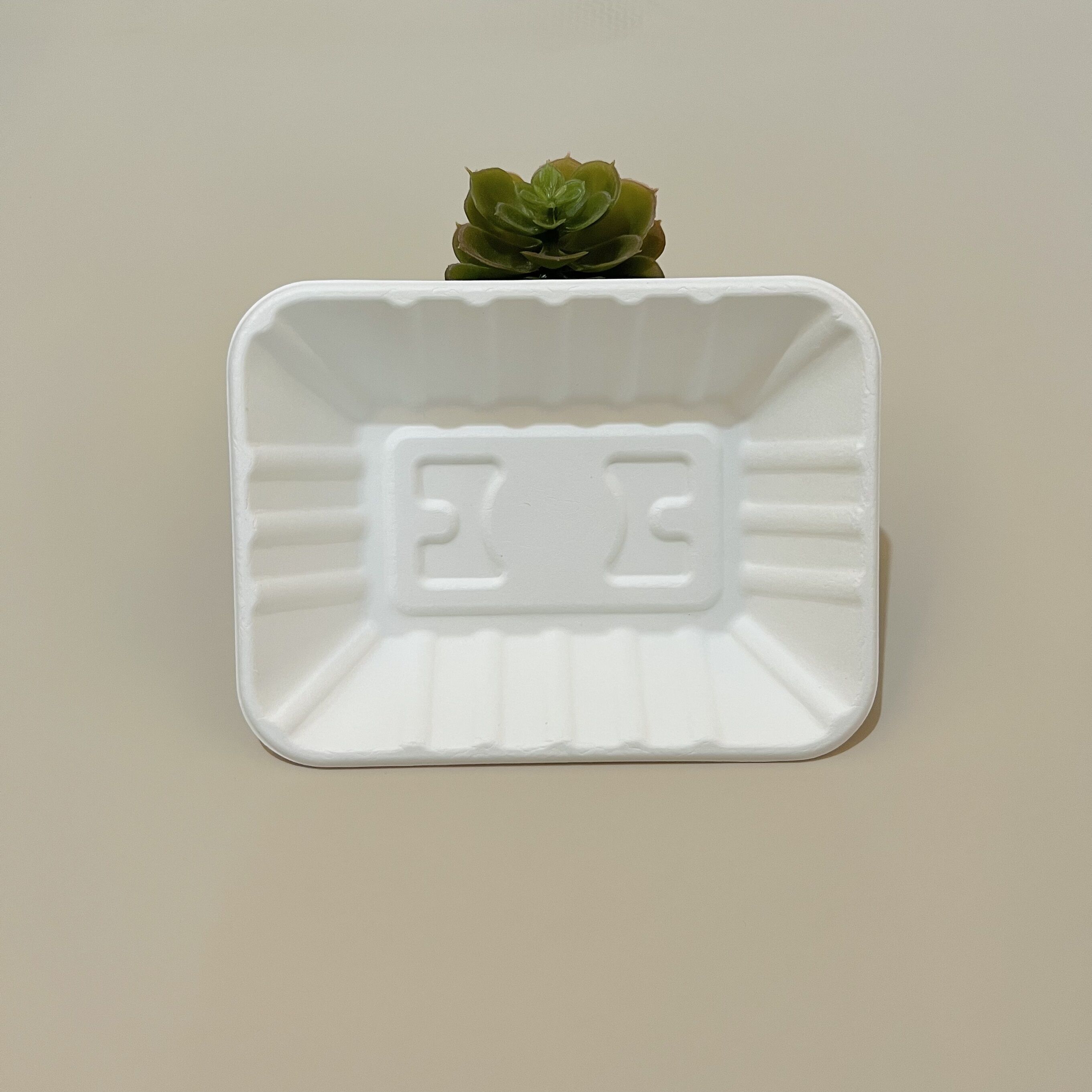 Biodegradable Tableware Pulp Sugarcane Bagasse Plate Fiber Square Tray ...