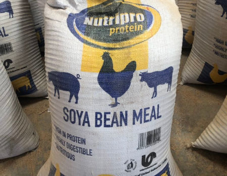 Bulk Buy United States Wholesale Protein Rich Soybean Meal $150 from ...