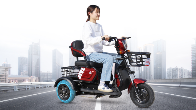 Electric Tricycles Chinaxuzhousanjie Factory Cargo Trike With Three ...