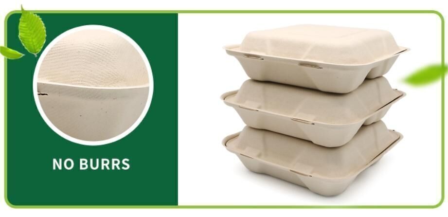 Buy Wholesale China Eco Fast Food Packaging 6 Inch Biodegradable ...