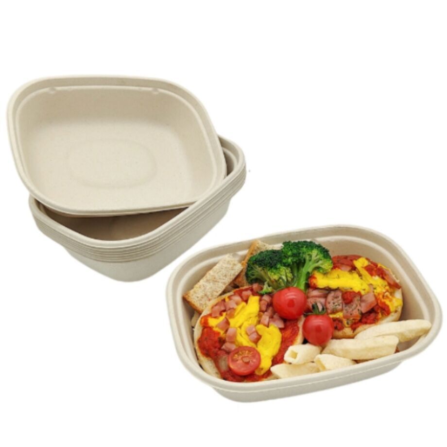Biodegradable Food Containers Bamboo Paper Pulp Takeaway Disposable ...